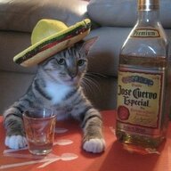 Stupid sheboon pours hot soup over herself | Incels.is - Involuntary ...