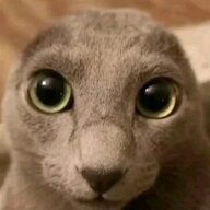 Cucumbers are the biggest fakecels | Incels.is - Involuntary Celibate Forum