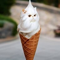 Why are asian foids such simps for white men | Page 2 | Incels.is ...